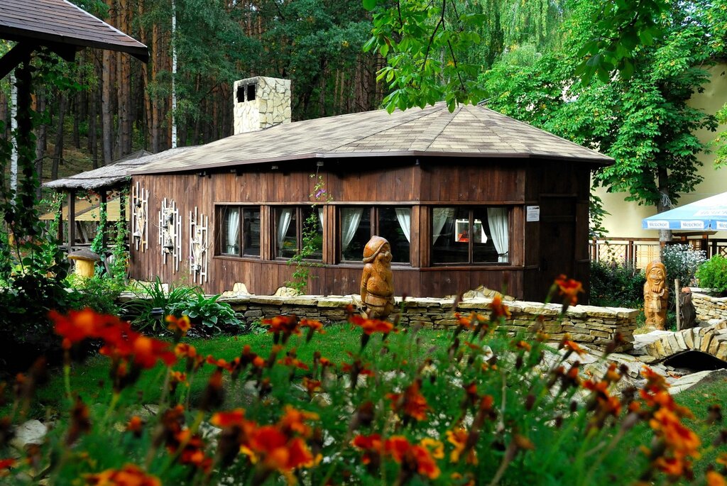 Daireler Chaika, Lipetskaya oblastı, foto