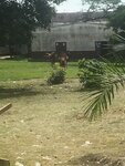 Réfectoire Du Lycée Pierre Savorgnan De Brazza (Brazzaville, Commune de Bacongo), lise  Brazzaville'den