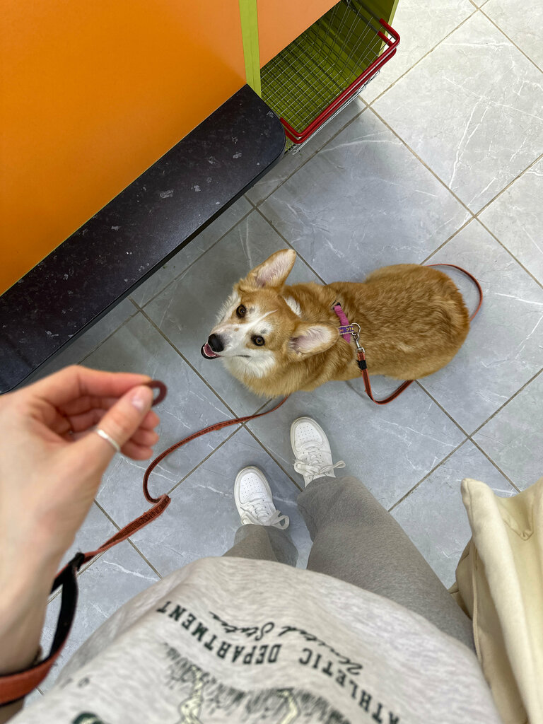 Petshop Mir khvostatykh, Moskova, foto
