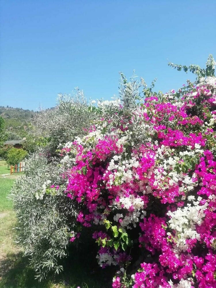 Otel Bahar Bahçe Datça, Datça, foto