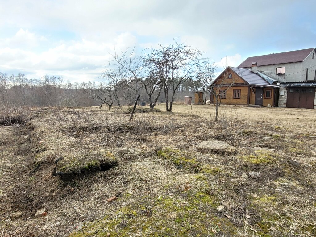 Turistik yerler Фундамент церкви древнего монастыря св. Параскевы Пятницы, Saint‑Petersburg ve Leningradskaya oblastı, foto