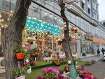 Lala (Azadliq Avenue No:211C), çiçekçiler  Bakü'den