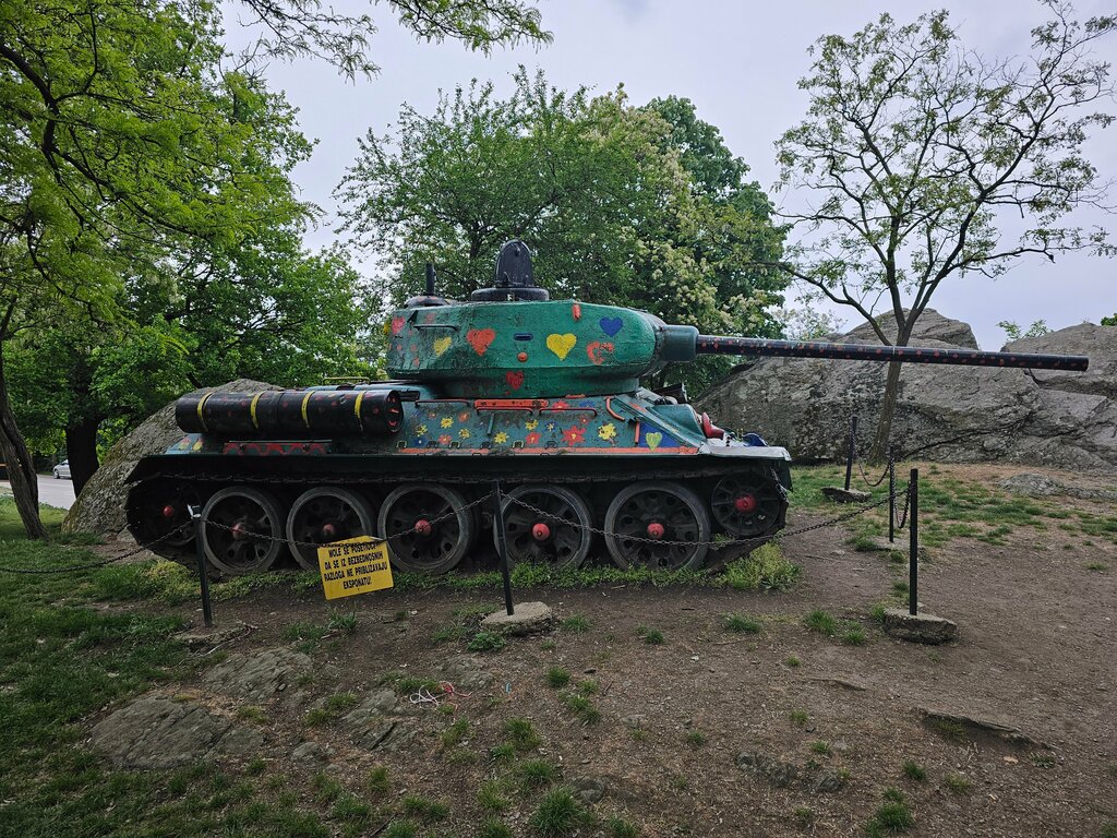 Restoran Crveni krst odmaraliste Vrsac, Dünya, foto