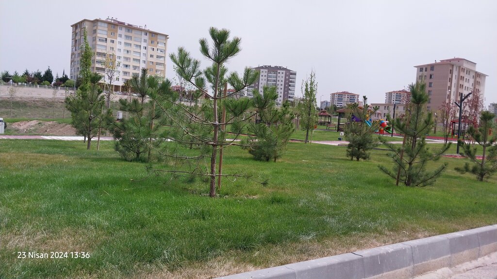 Oyun alanı Oyun alanı, Ankara, foto