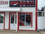 Автозапчасти (Yubileynaya ulitsa No:55), otomobil yedek parçaları  Dubovka'dan