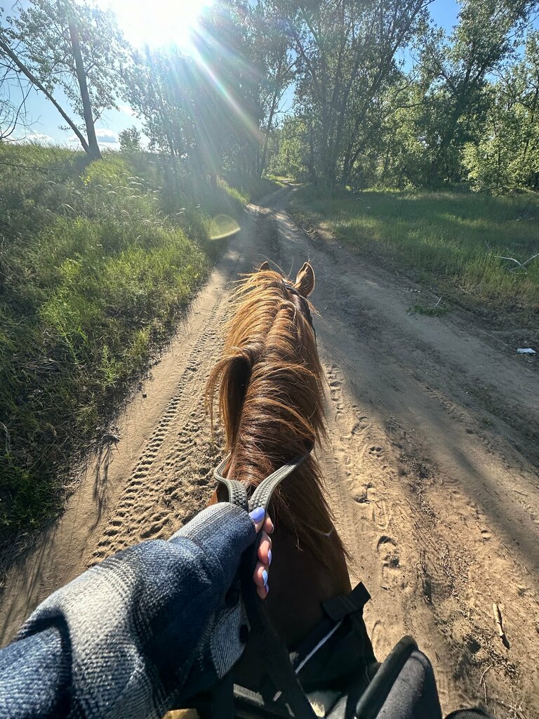 At ve binicilik kulüpleri Конюшня № 2, Voljski, foto