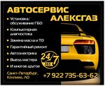 АлексГаз (Krasnoborskaya ulitsa No:12, gorod Telmana), otomobil servisi  Saint‑Petersburg ve Leningradskaya oblastından