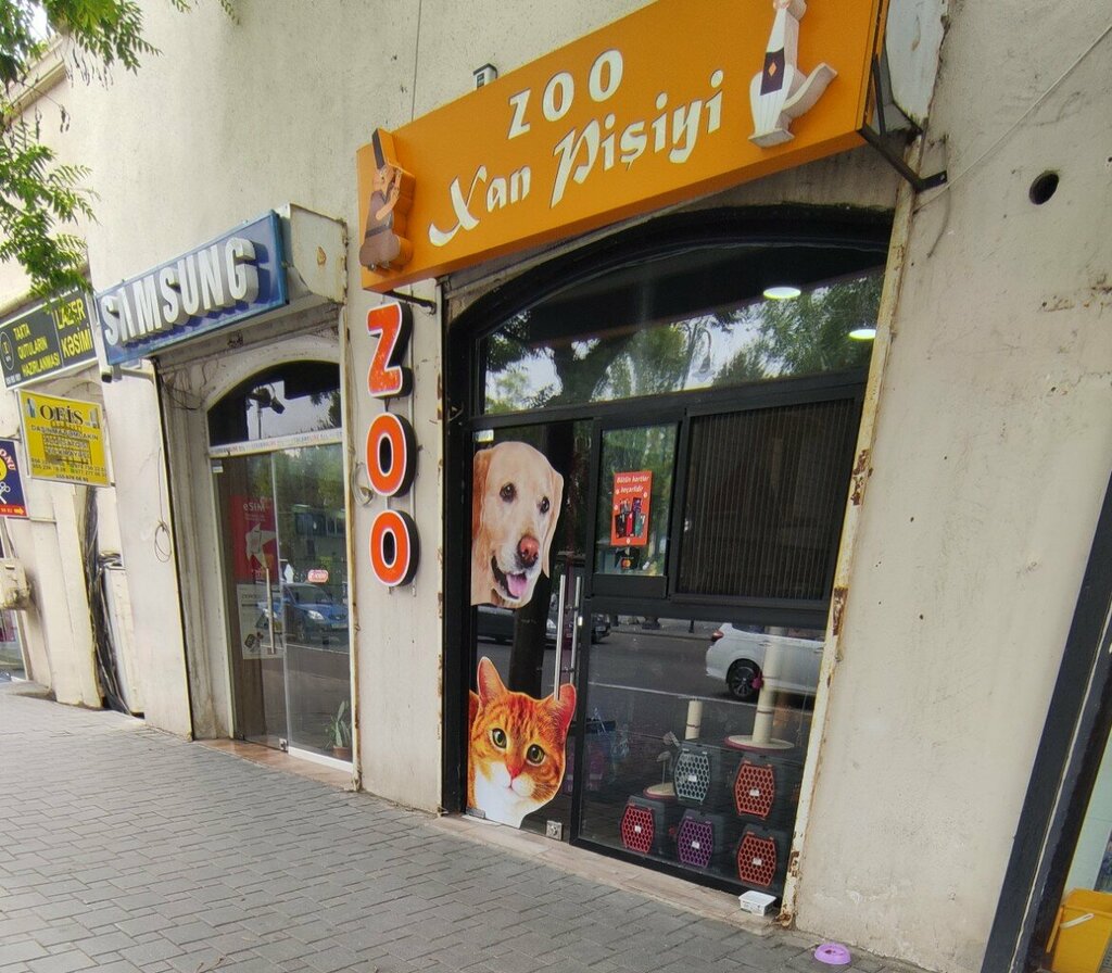 Petshop Xan Pişiyi, Bakü, foto