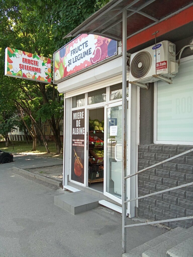 Manavlar Fructe si Legume, Kişinev, foto