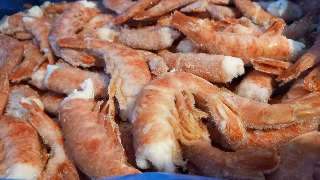 Balık ve deniz ürünleri Kogalym Fish, Kogalym, foto