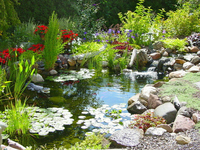 Bahçecilik mağazaları Prudiki.ru - Everything for beautiful garden pond!, Moskova, foto