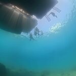 DiveNhaTrang (Khanh Hoa Province, Nha Trang), dalış kulüpleri ve eğitim merkezleri  Nha Trang'dan