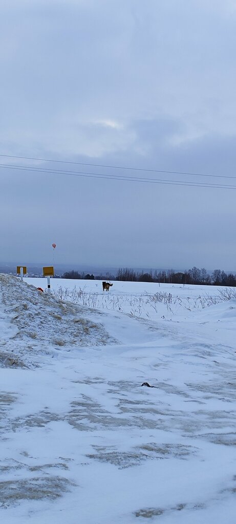 Helikopter pisti вертолетная площадка ЛПДС Ярославль, Yaroslavskaya oblastı, foto