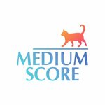 MediumScore (ploshchad Svobody No:10), mikrofinans  Naro‑Fominsk'ten