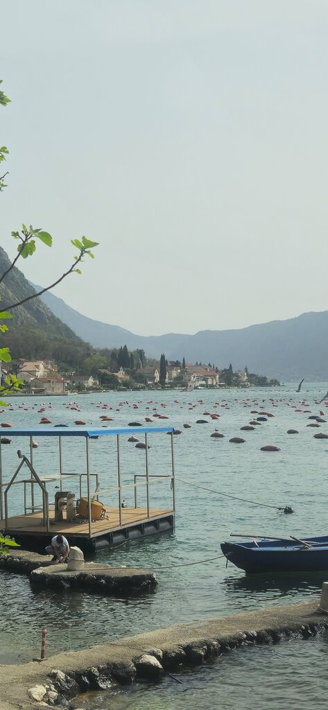 Restoran Uzgajalište Ostriga, Dünya, foto