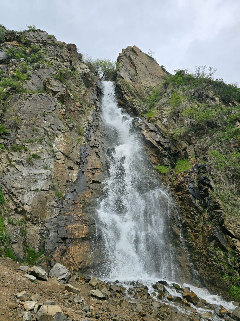 Orman işleri Ile-Alatau State National Natural Park Talgar Branch, Talgar, foto