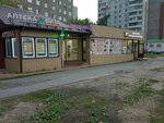 Russtore (Sergo Ordzhonikidze Street No:29Б), telefon tamir servisi  Yaroslavl'dan