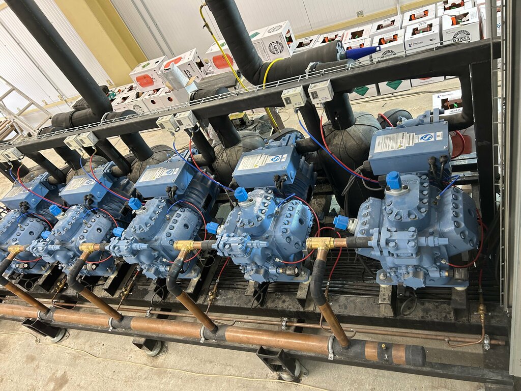 Endüstriyel buzdolapları Refcom, Krasnodar, foto