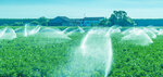 AgroTec (Department of La Paz, Provincia Murillo, La Paz, Calacoto, San Miguel, Avenida Mariscal de Montenegro, 945), sulama ekipmanları  Bolivya'dan