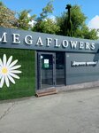 Megaflowers (Krasnoarmeyskaya ulitsa No:93А), çiçekçiler  Çeliabinsk'ten
