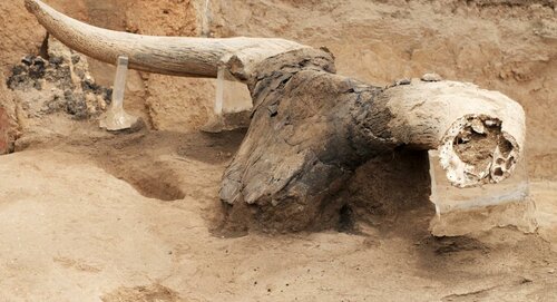 Müzeler ve sanat galerileri Çatalhöyük, Kumra, foto