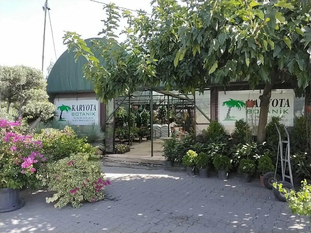 Sera ve bahçe ürünleri Karyota Botanik, İstanbul, foto