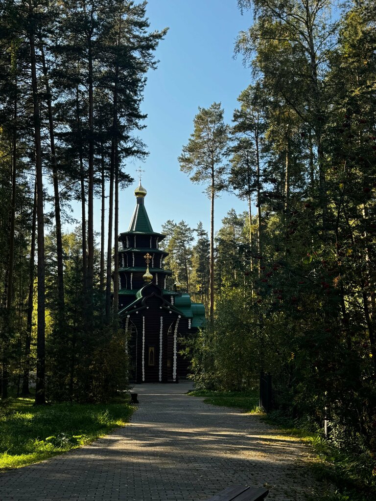 Ortodoks kiliseleri Церковь Николая Чудотворца, Sverdlovskaya oblastı, foto