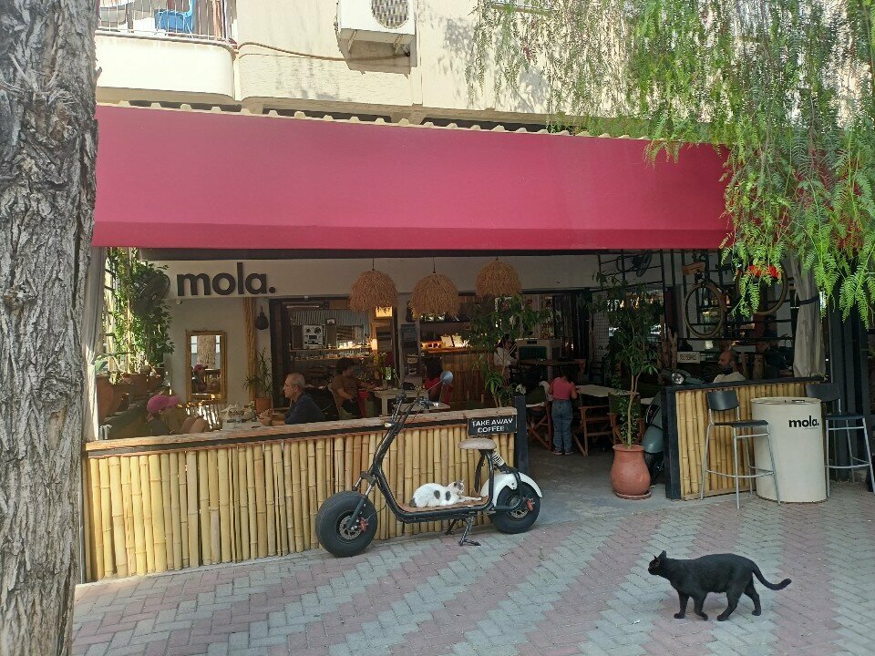 Kahve dükkanları Mola Coffee House, İzmir, foto