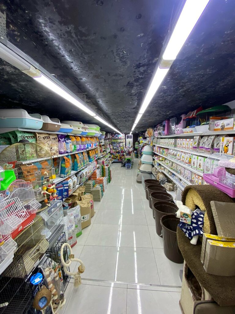 Petshop Vet+Zoo Planeta, Taşkent, foto