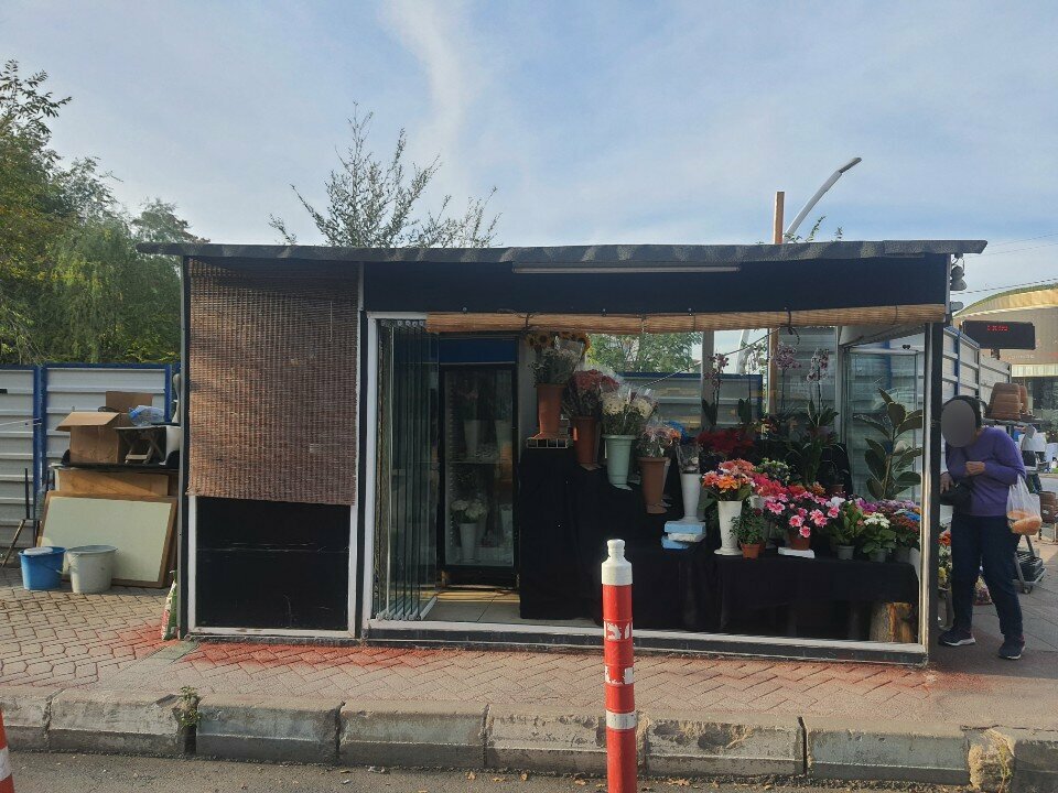 Çiçekçiler Ekin Çiçekçilik, Ankara, foto