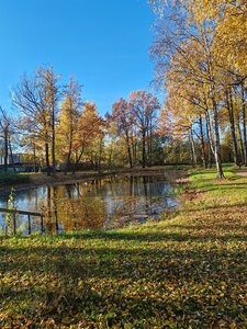 Mikhaylovka Park (St. Petersburg, Peterhof, Mikhaylovka Park), kültür ve eğlence parkları  Peterhof'tan