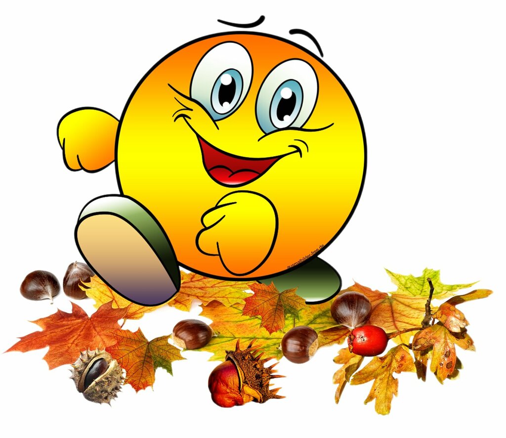 Anaokulları Kolokolchik, Krasnoyarski krayı, foto