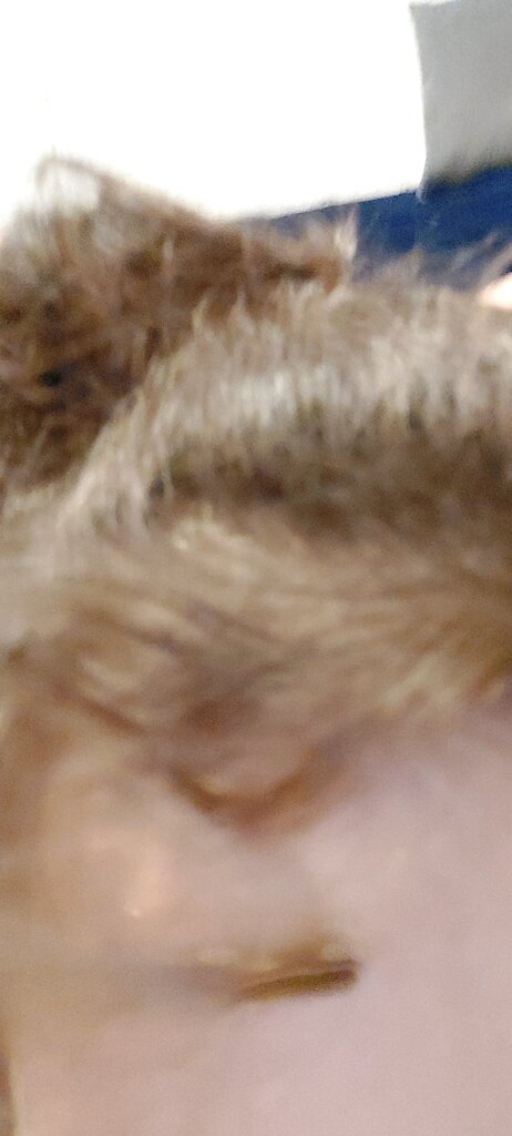 Süpermarket Duob, Duşanbe, foto