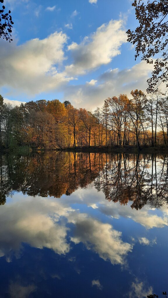 Kültür ve eğlence parkları Fürstenwald Park, Kaliningrad, foto