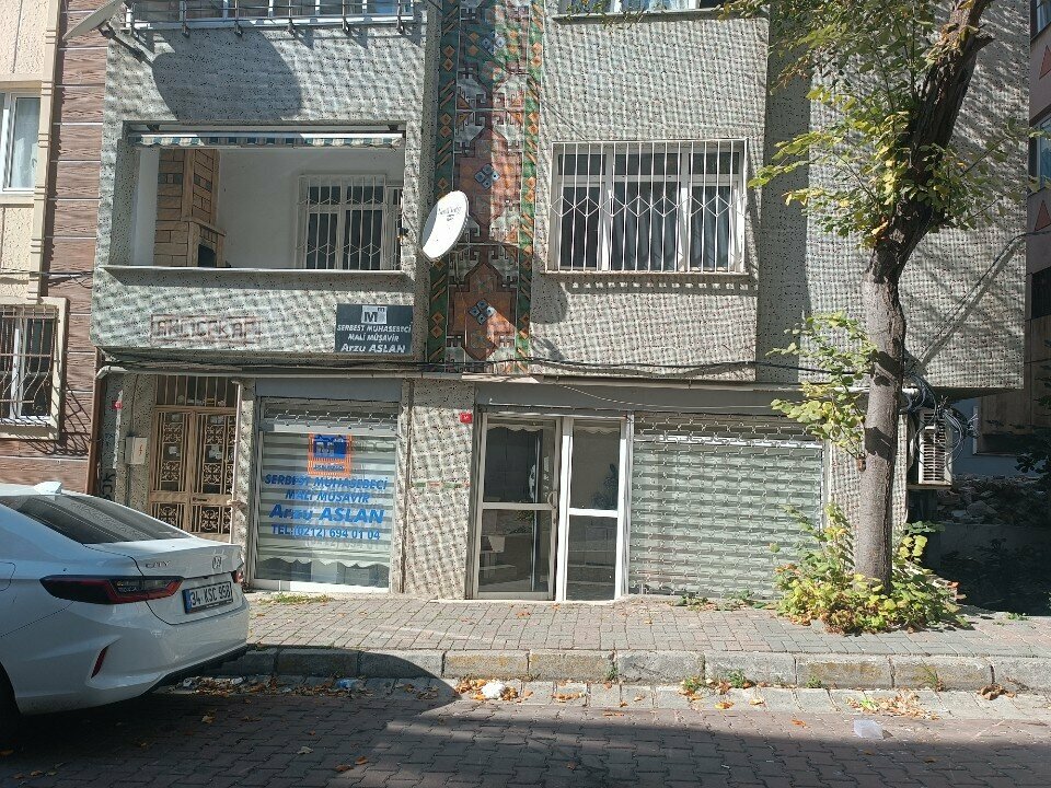 Mali müşavir Mali müşavir Arzu Aslan, İstanbul, foto