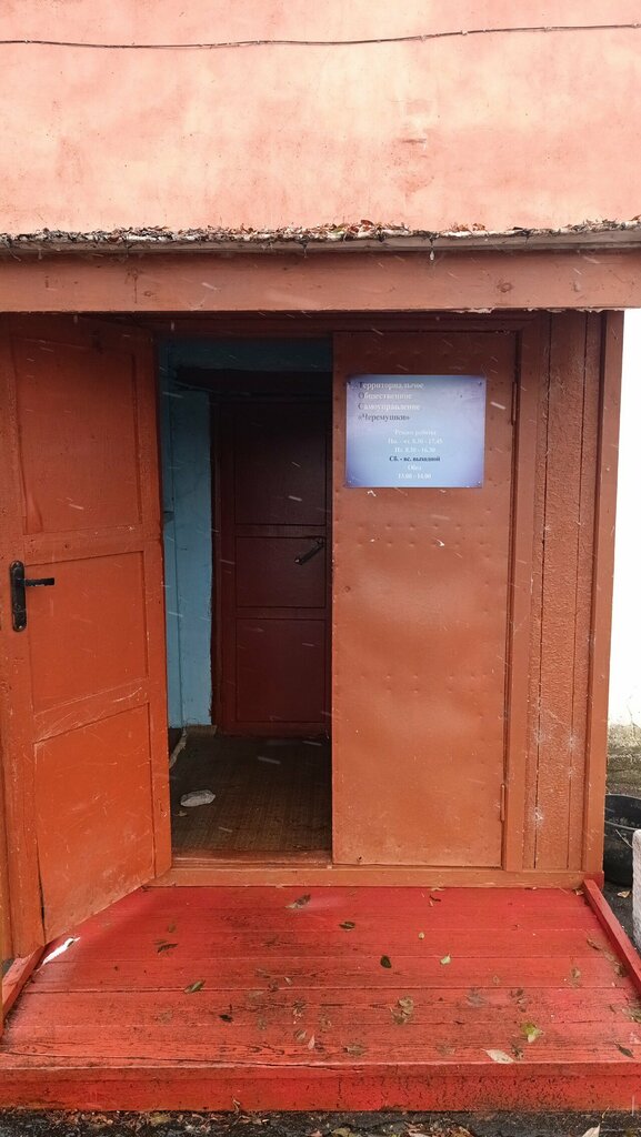 Sivil toplum kuruluşları Komitet territorialnogo obshchestvennogo samoupravleniya Cheremushki, Omsk, foto