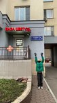 Baza tsvetov 24 (Novaya Street No:10), çiçekçiler  Reutov'dan