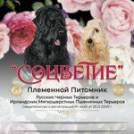 Sotsvetie (Stepankovskoye shosse No:3, Work Settlement of Pravdinskiy), evcil hayvan yetiştiricileri  Moskova ve Moskovskaya oblastından