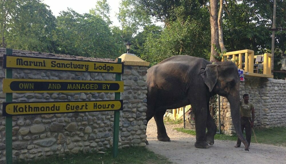 Otel Maruni Sanctuary Lodge by Kgh Group, , foto