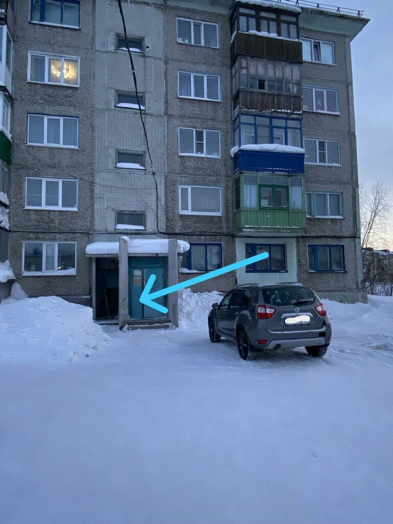 Evcil hayvan kuaförleri Lady Groom, Vorkuta, foto