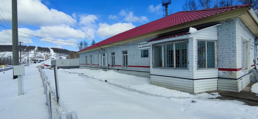 Tren istasyonu разъезд Дуссе-Алинь, Habarovski krayı, foto
