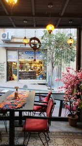 Galata Frida House (İstanbul, Beyoğlu, Şahkulu Mah., İlk Belediye Cad., 6B), kafe  İstanbul'dan