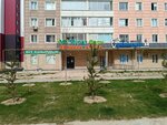Murat-Farm (Shymkent, Turan yqsham aýdany, 6А), pharmacy  Çimkent'ten (Şımkent'ten)