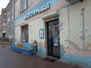 Много рыбы (Nekrasova Street No:52/35), kafe  Yaroslavl'dan