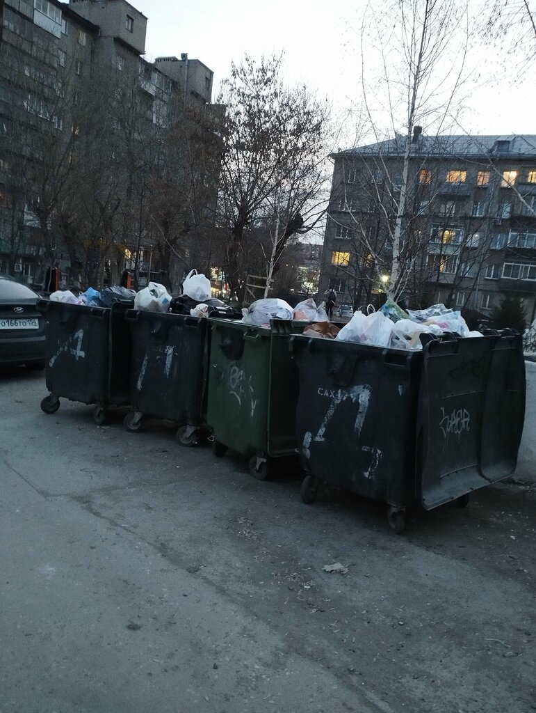 Çöp alanları Trash and garbage disposal area, Novosibirsk, foto