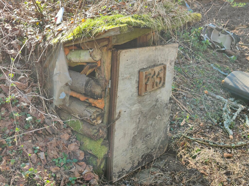 Piknik alanı Место у землянки, Moskova ve Moskovskaya oblastı, foto