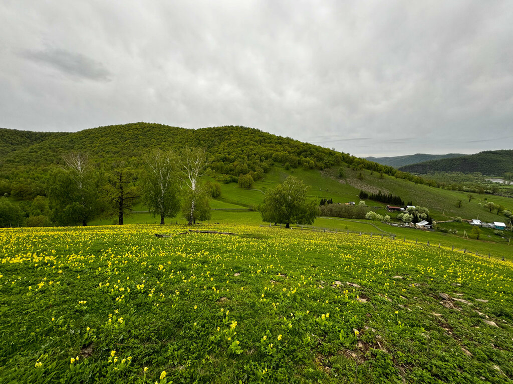 Dağ zirvesi Гора Кызылташ, Başkurdistan, foto
