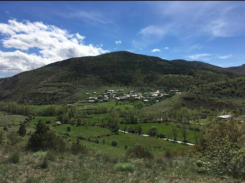 Muhtarlıklar Şen Köy Muhtarlığı, Kelkit, foto