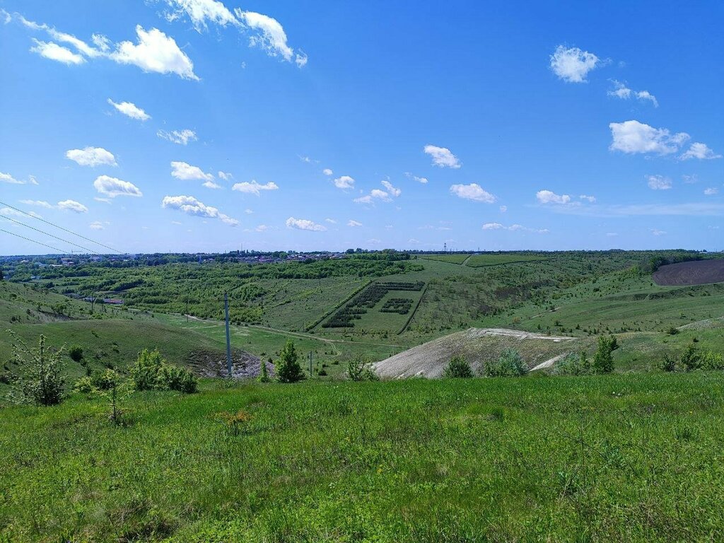 Orman Геоглиф 70 лет Победы, Belgorodskaya oblastı, foto