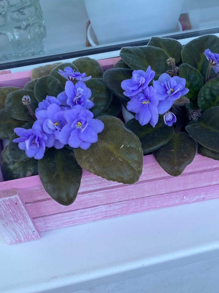 Anaokulları Detsky sad № 46, Izhevsk, foto